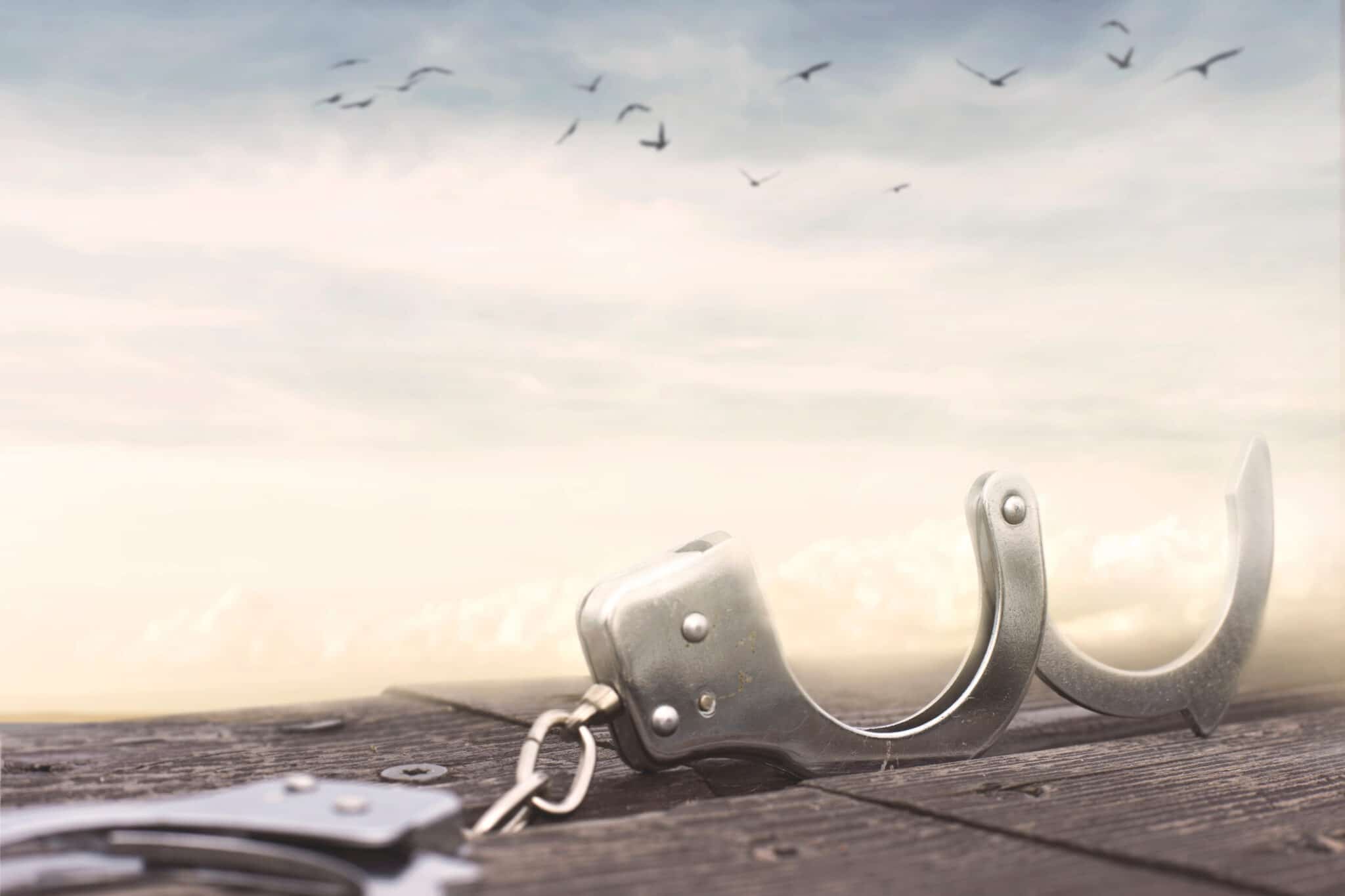 Federal Prison Early Release Planning | Zoukis Consulting Group