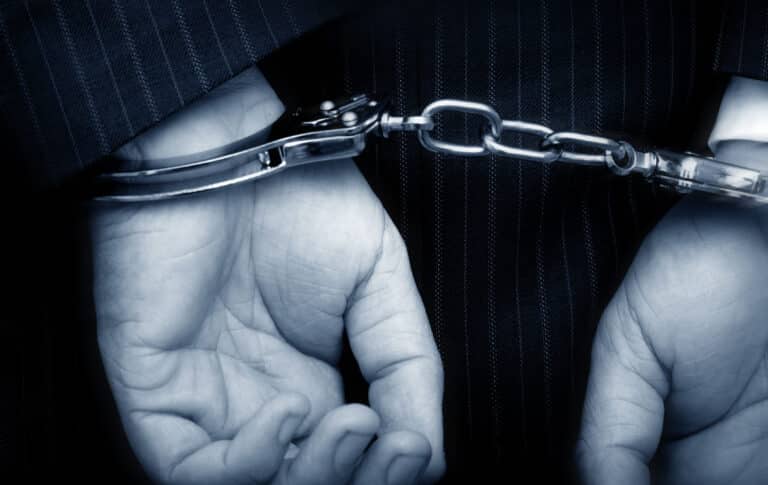 Accessory: Definition, Meaning, And Legal Considerations - Elizabeth ...